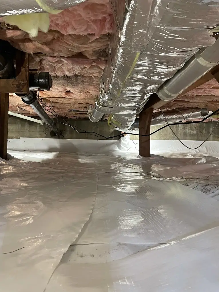 Basement and Waterproofing Solutions That Actually Work in Oregon ...